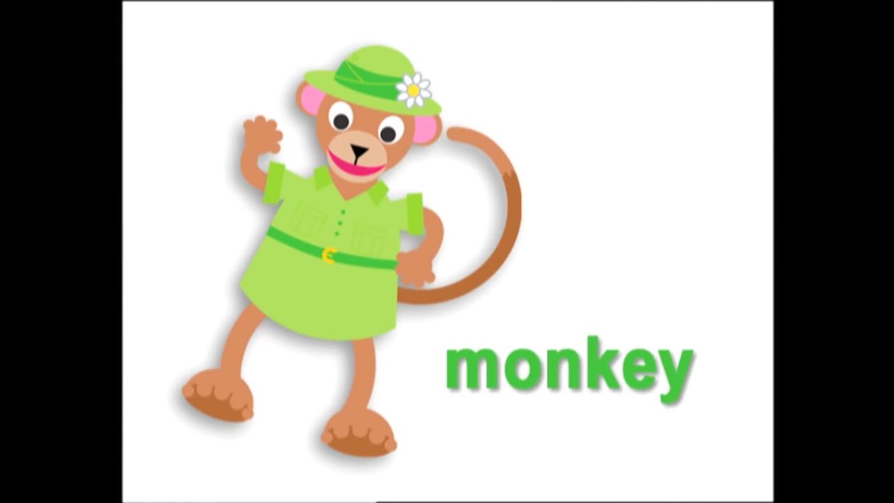 World Animals monkey - YouTube