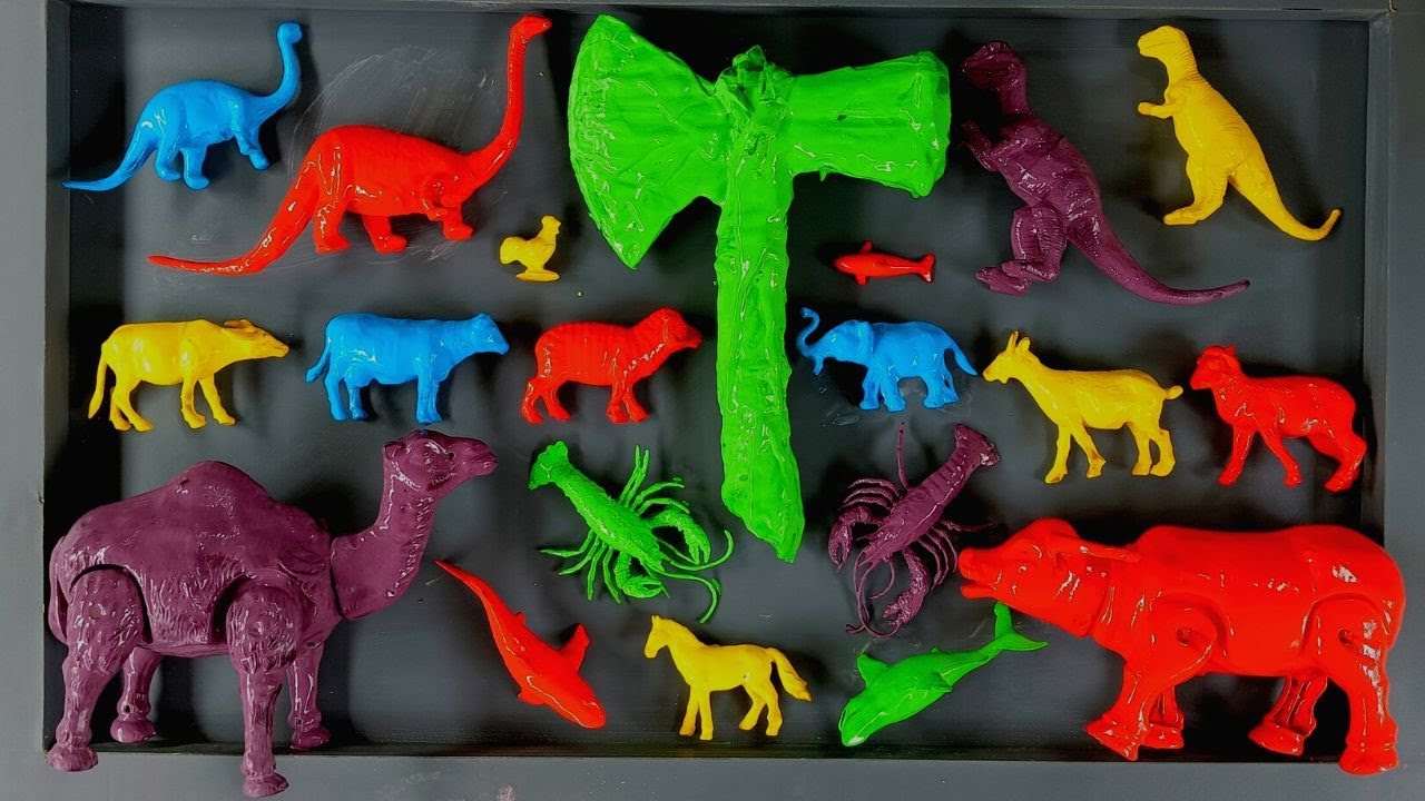 Membersihkan hewan sapi, gajah, kuda, ikan hiu, kambing, kerbau, unta ...