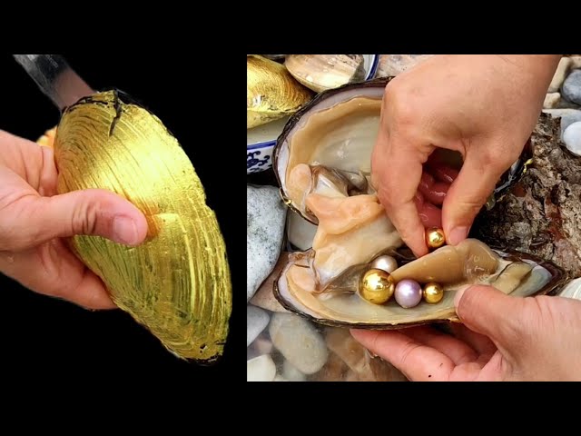 Natural Pearls In Shell