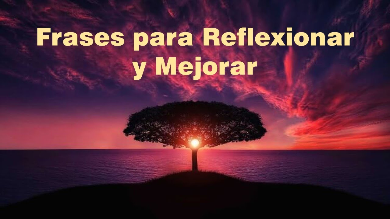 FRASES PARA REFLEXIONAR Y MEJORAR - YouTube