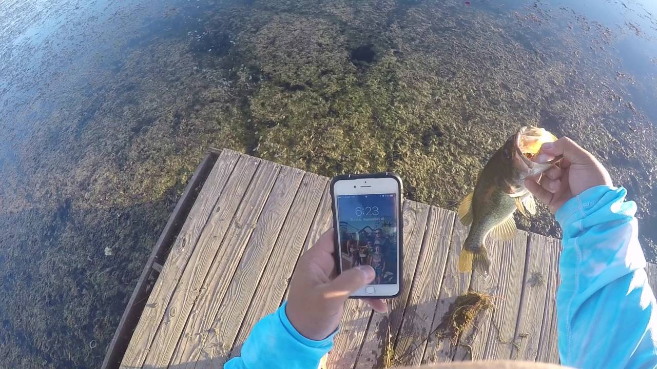 1 hour Fishing Session at Cameron Park Lake - YouTube