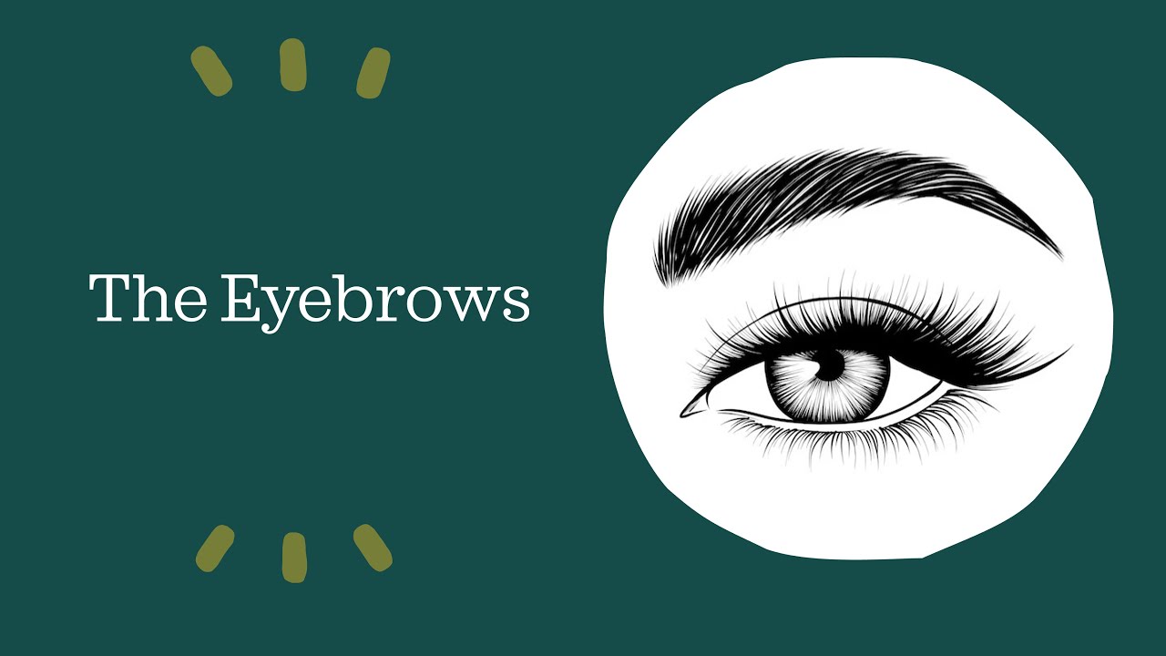 THE EYEBROWS -Exercise 1 - YouTube