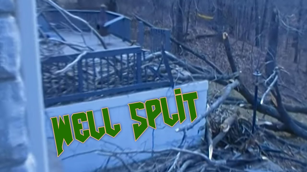 Aftermath of Tree Hitting House - YouTube