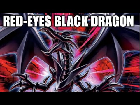 My UNDEFEATED Red-Eyes Primite Metalmorph Deck Profile! 🔥 (11/09/2024 ...