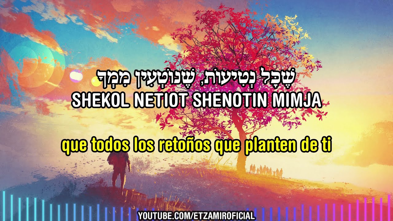 Ilan | Árbol - אִילָן | 🎙️ Ya'akov Shwekey - יעקב שוואקי | canción para ...