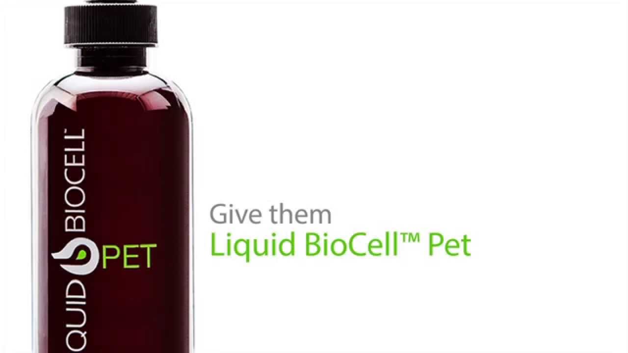 Jusuru International, Liquid BioCell Pet - YouTube