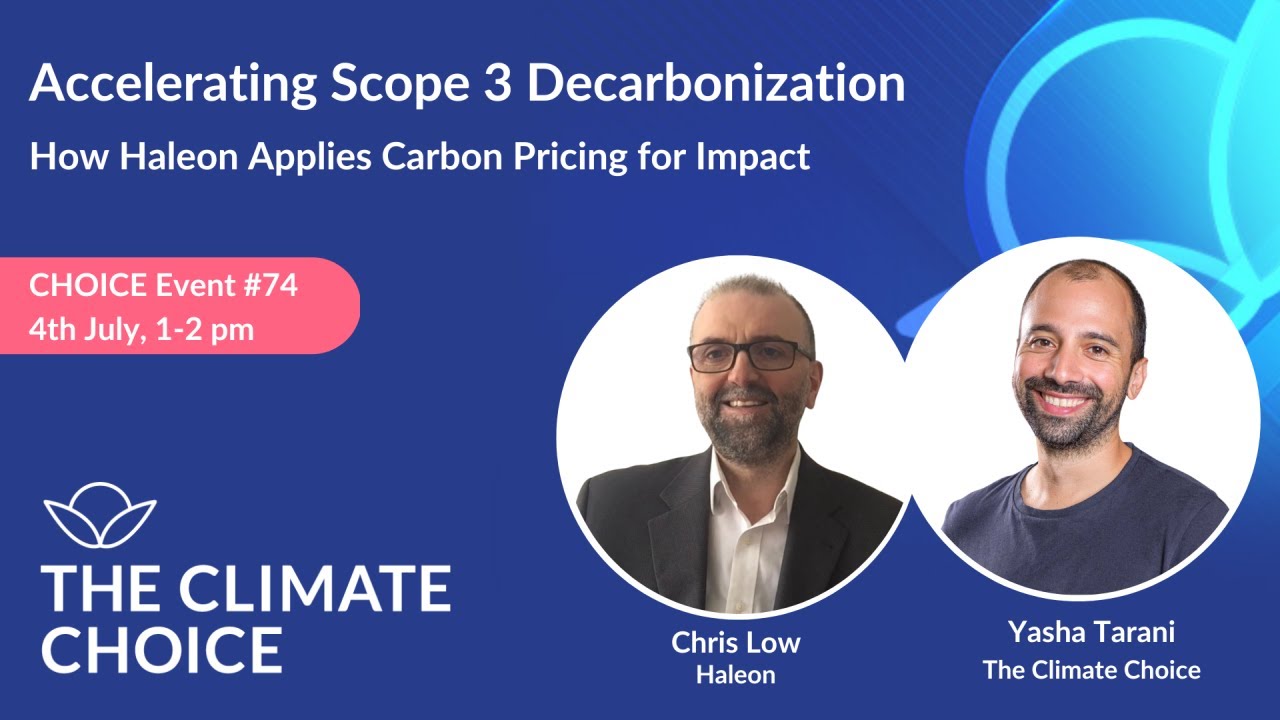 Accelerating Scope 3 Decarbonization: How Haleon Applies Carbon Pricing ...