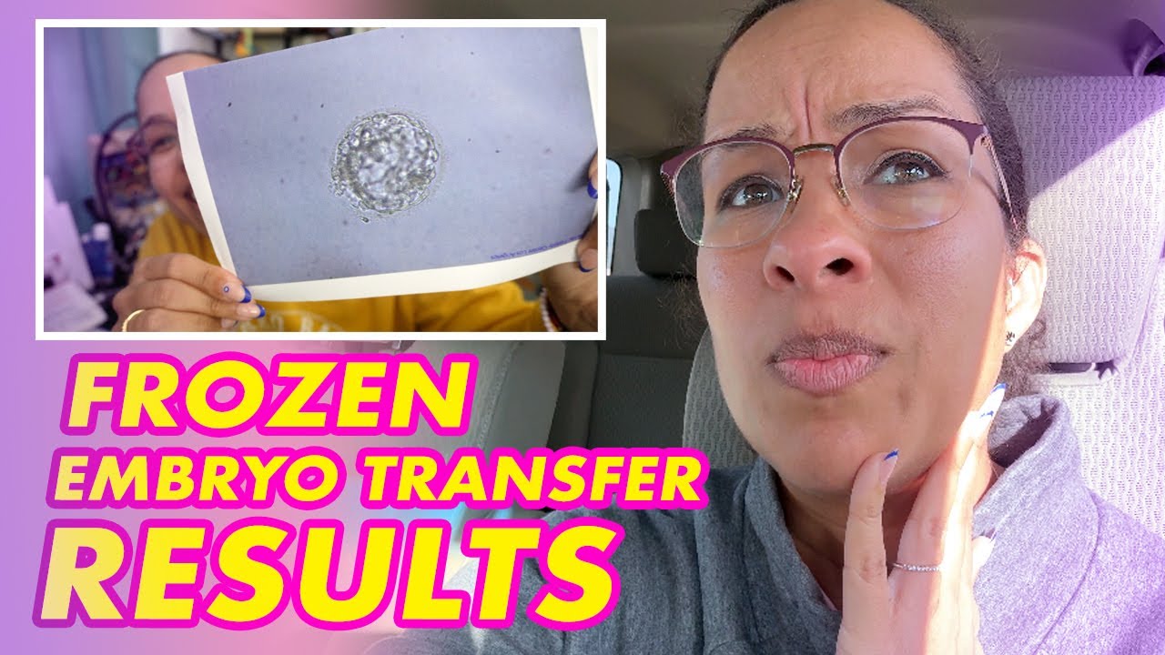 Frozen Embryo Transfer Update | Artist Fertility Journey | Pt 10 - YouTube