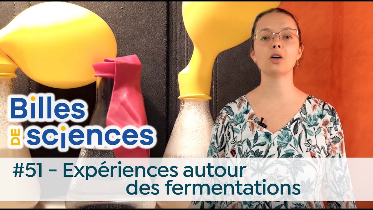 Billes de sciences #51 : Tania Louis - Expériences sur les ...