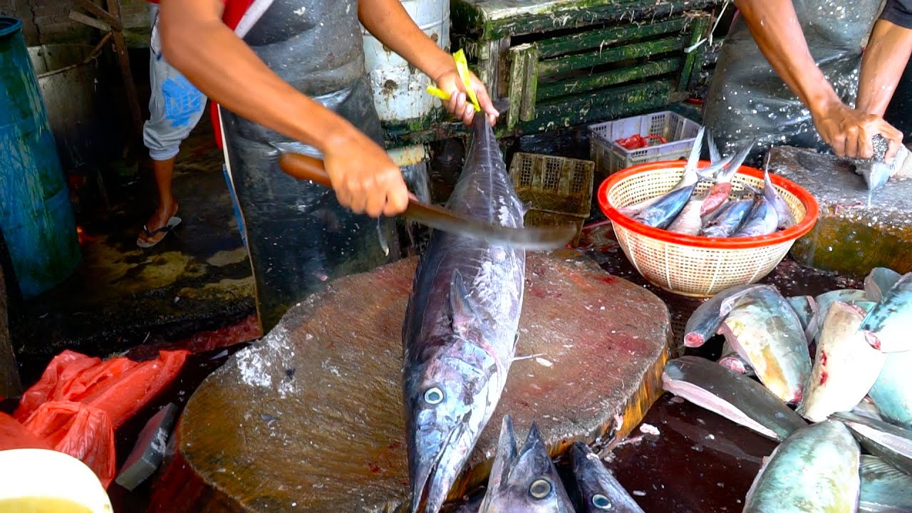 Fast FISH CUTTER || Wahoo Fish Cutter MASTER! - YouTube