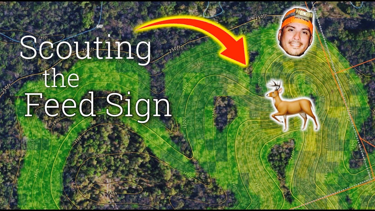 Scouting Your way In | Texas Public Land - YouTube