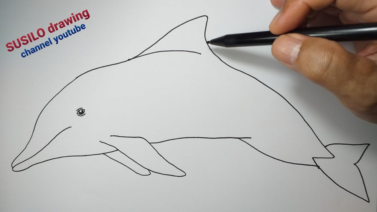 Menggambar Ikan LUMBA LUMBA untuk Pemula || How to draw DOLPHIN for ...