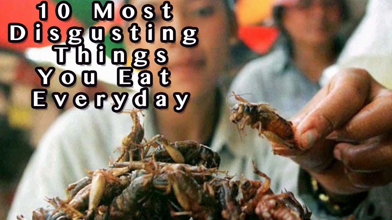 10 Disgusting Foods You May Eat Every Day - YouTube