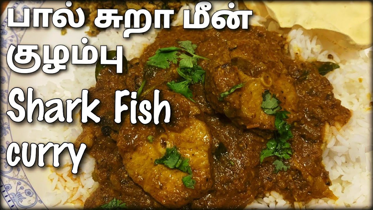 Shark Fish Curry | பால் சுறா மீன் குழம்பு | Milk Shark Recipe | sura ...