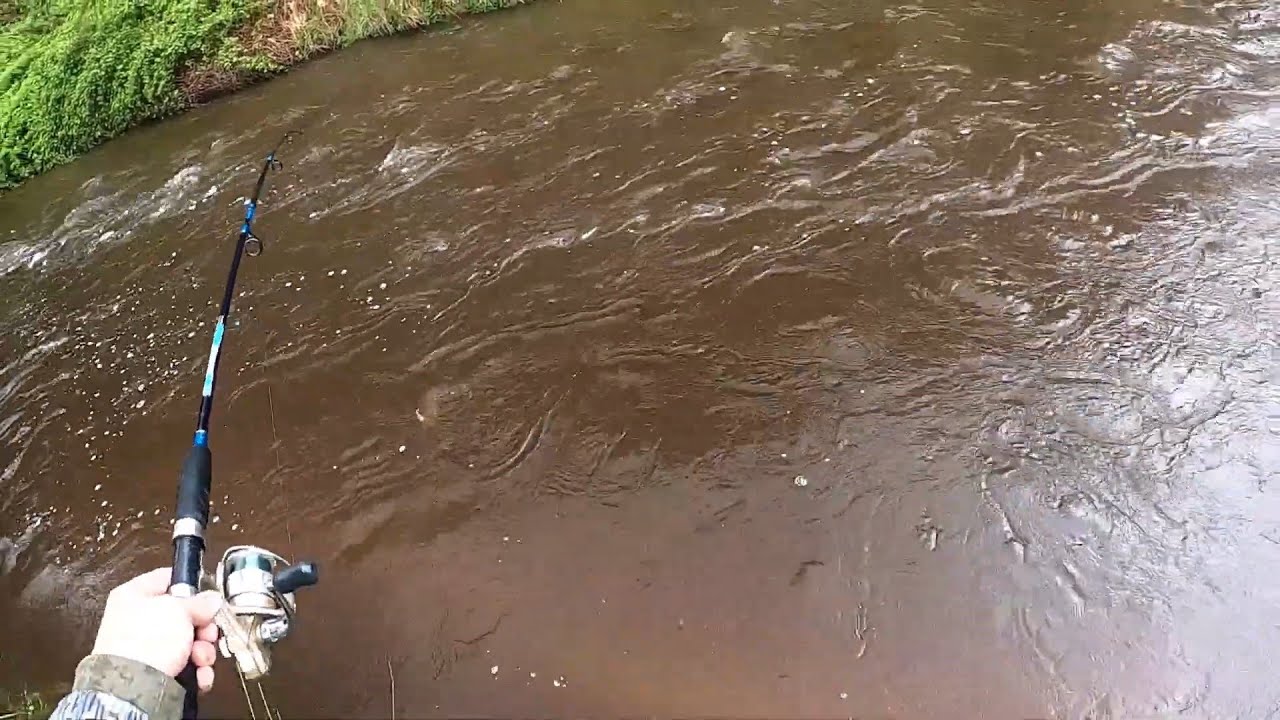 Winter/Spring Trout Fishing IN Noojee (with tips) - YouTube