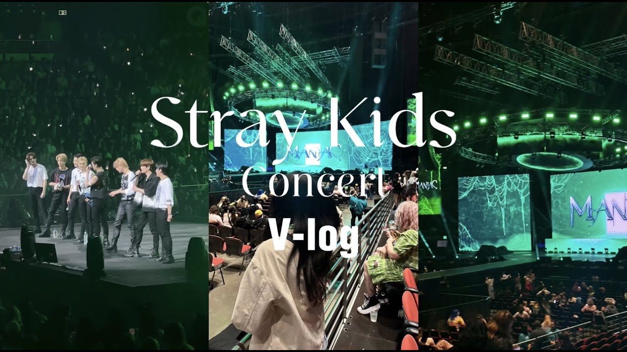 [V-log] skz manic concert in Sydney D-2, close fancam, concert ...