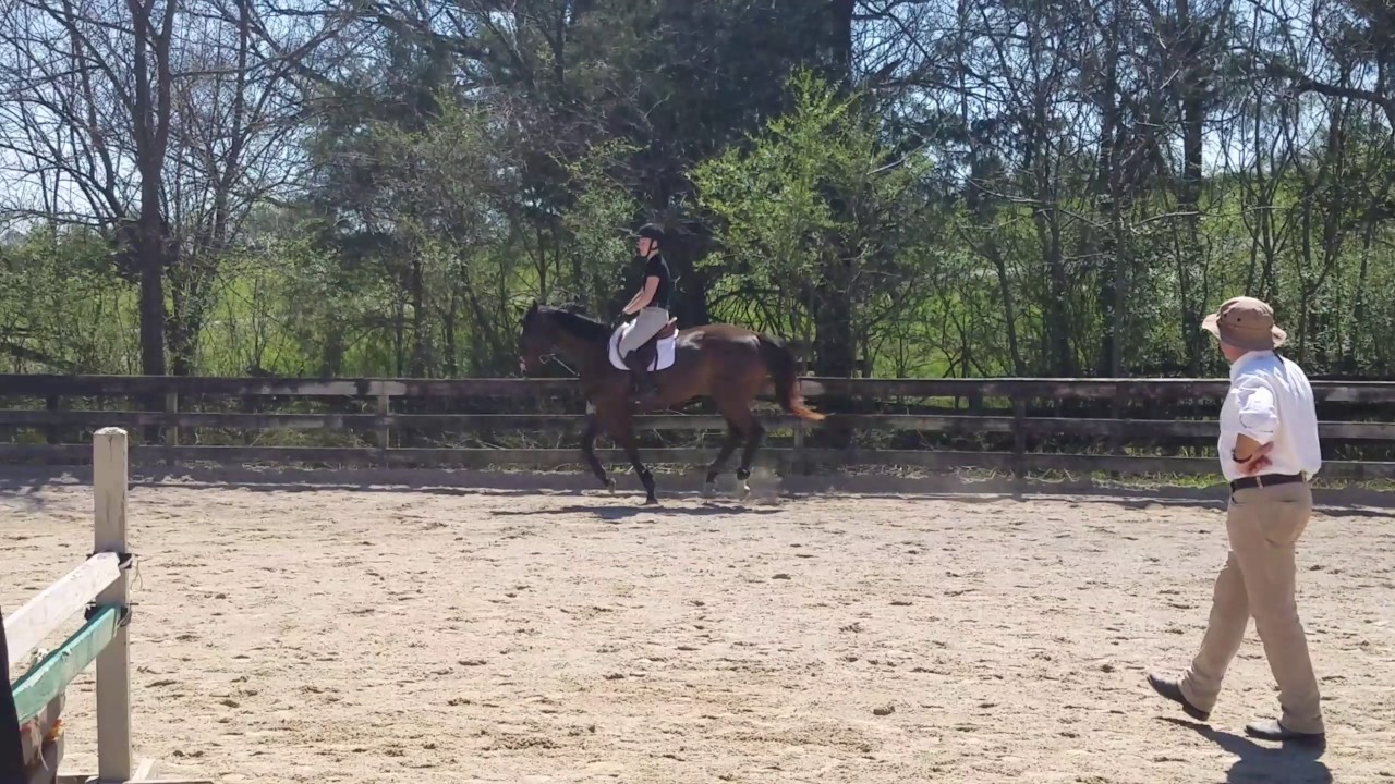 Heather Left Lead Canter - YouTube