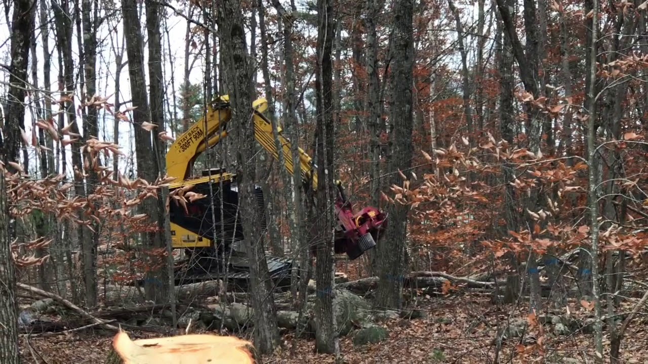 Komatsu logging equipment demo! - YouTube