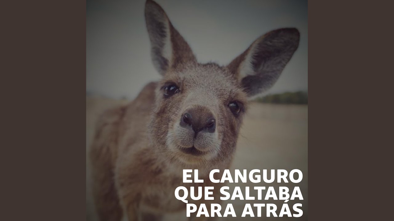 El Canguro que saltaba para atrás - YouTube