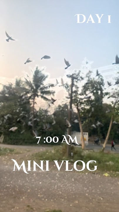 My first mini vlog 😅 || mini vlog day 1 || #shorts #minivlog #myfirstvlog #myfirstvlogviral #1 ...