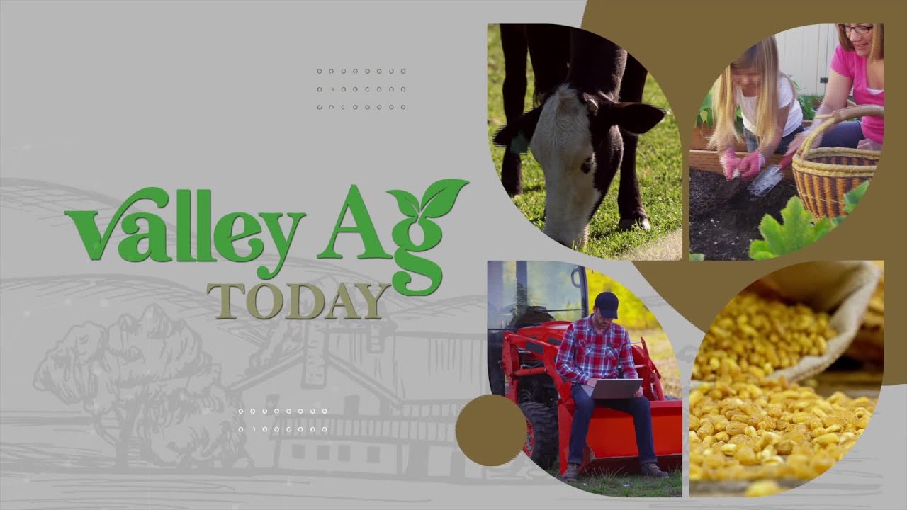 Valley Ag Today with Tony Trimble of Illinois Farm Bureau Clark County ...