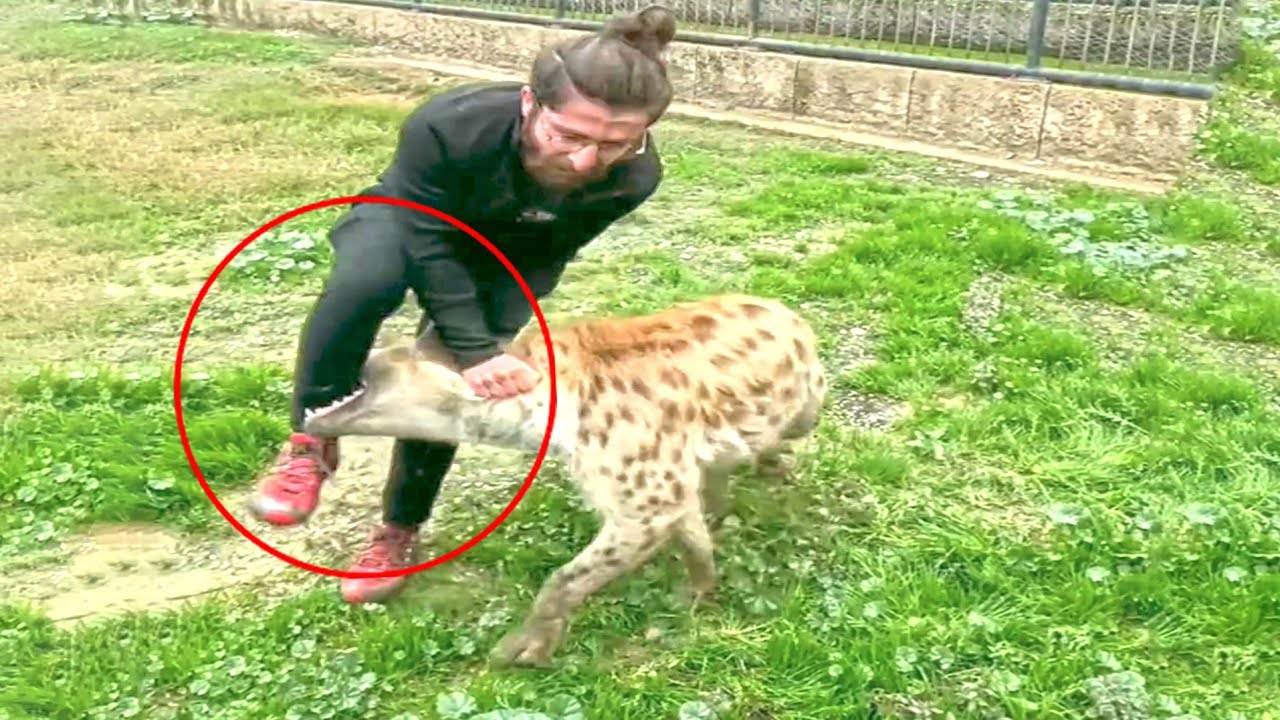 Damn Nature You Scary | Rare & Scary Animal Encounters 😱 #2 - YouTube