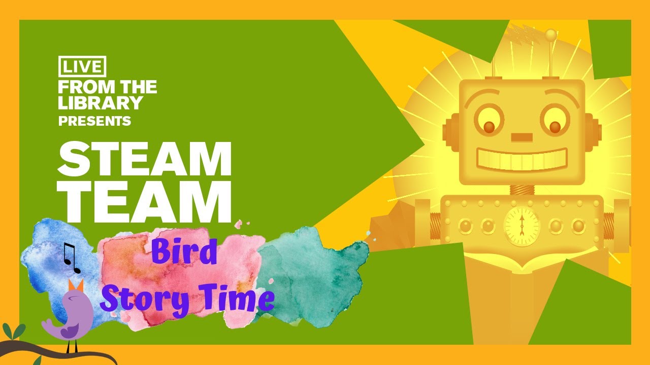 STEAM Team Presents: Bird Story Time - YouTube