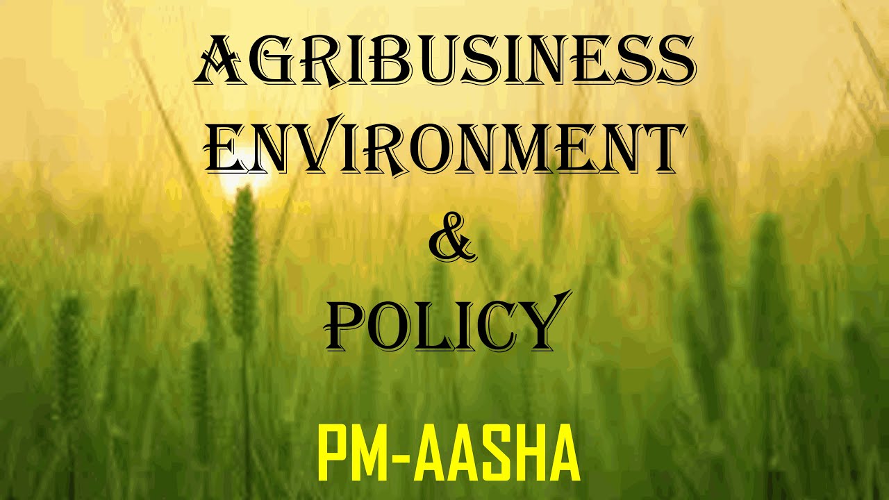 Prime Minister Annadata Aay Sanrakshan Yojana - YouTube