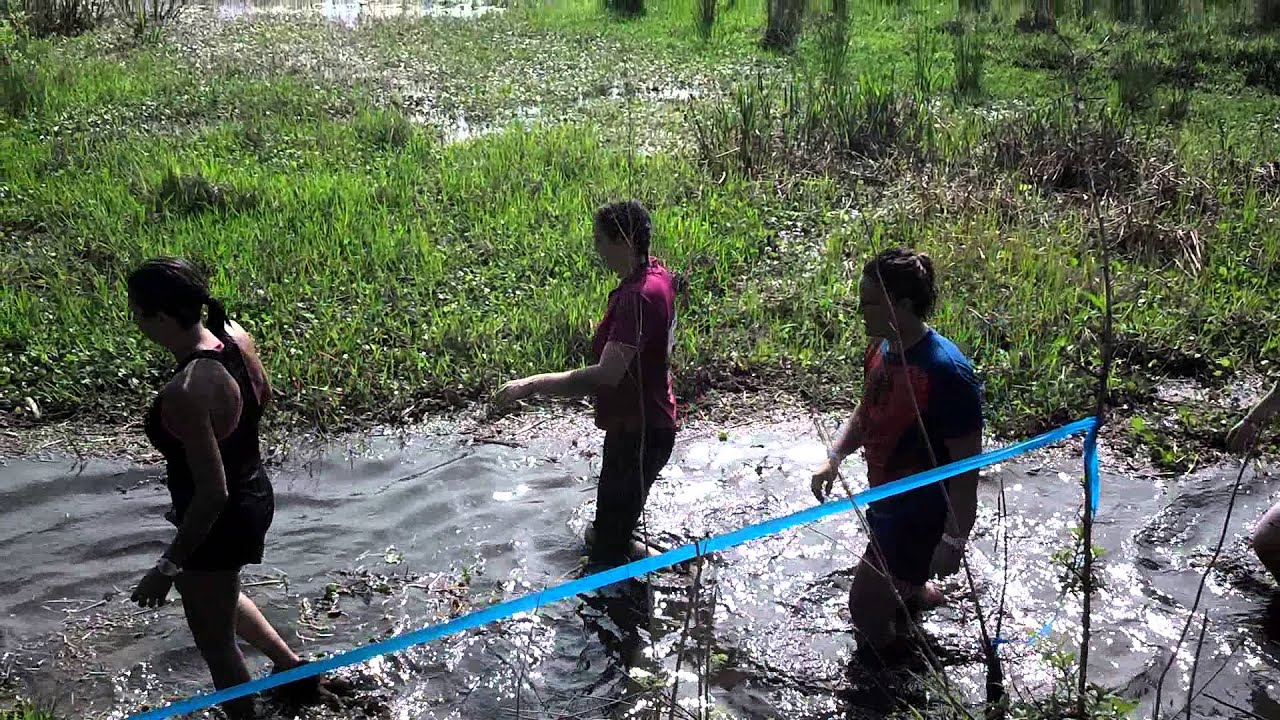 Swamp Walk - Eileen - YouTube