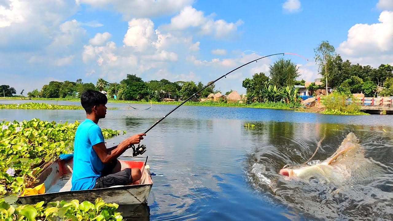 Hook fishing | Amazing hook fishing in beautiful village river ...
