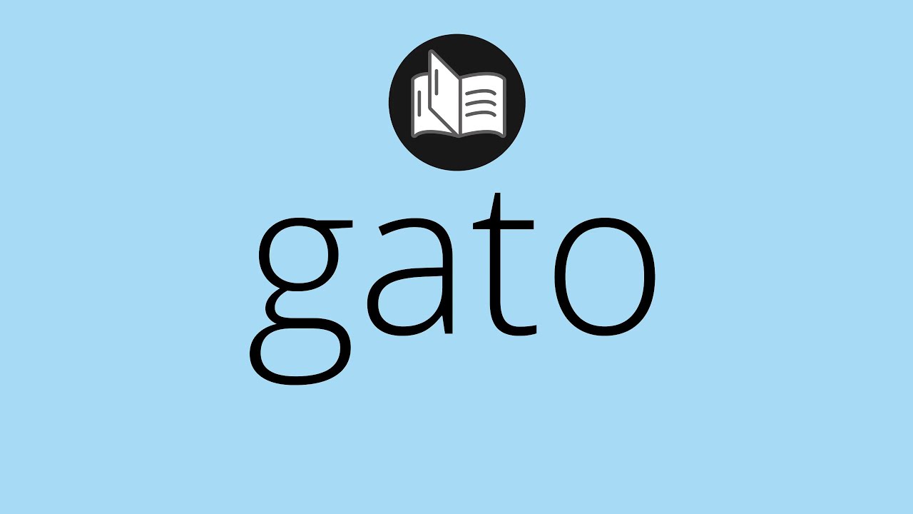 Que significa GATO • gato SIGNIFICADO • gato DEFINICIÓN • Que es GATO ...