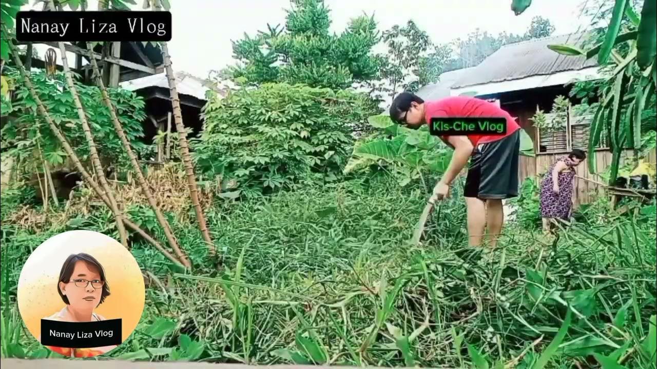 Mag-harvest tayo ng mga Pananim at maglinis ng Bakuran💚 | Buhay Probinsya🇵🇭 | Nanay Liza Vlog ...