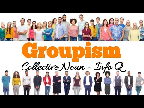 Groupism | Learn English | Fact'O Facts | Info Q - YouTube
