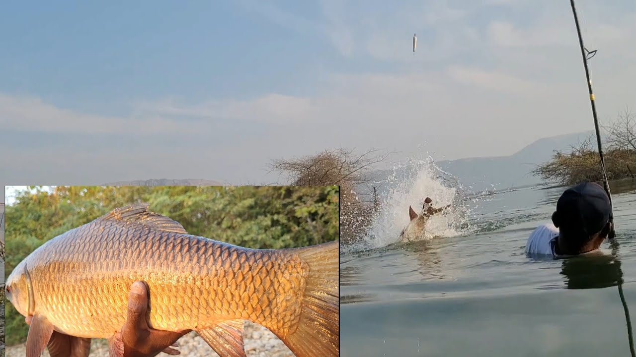 Unbelievable fishing|Catching The Big Rohu fish & 2 types Carp fishes ...