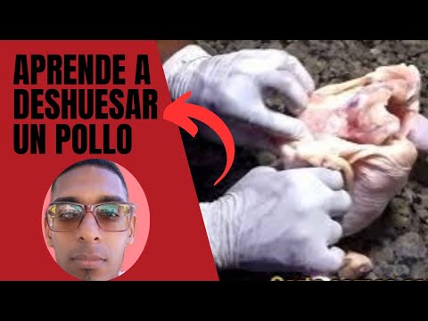 #aprenda a deshuesar un pollo entero # - YouTube