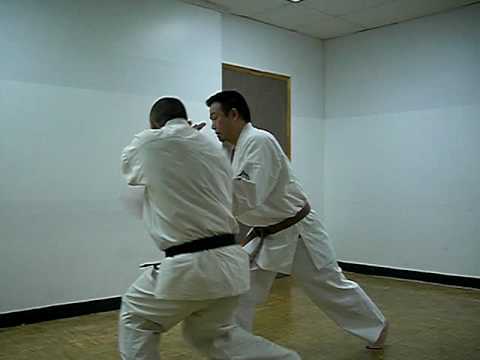 Hiko Ryu Taijutsu Basic Training 12-2 Sotouchi - YouTube
