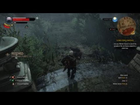 The Witcher 3 | Caretaker Boss Fight - YouTube