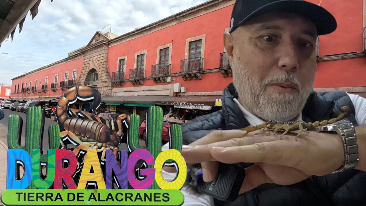 MERCADO GÓMEZ PALACIO DURANGO vive la cultura del ALACRÁN - YouTube