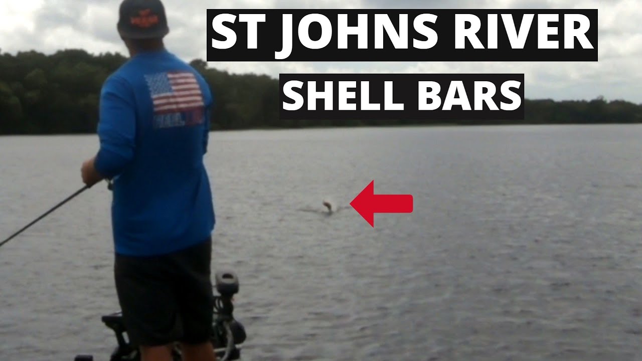 How to fish shell bars for Bass on the St Johns River - YouTube