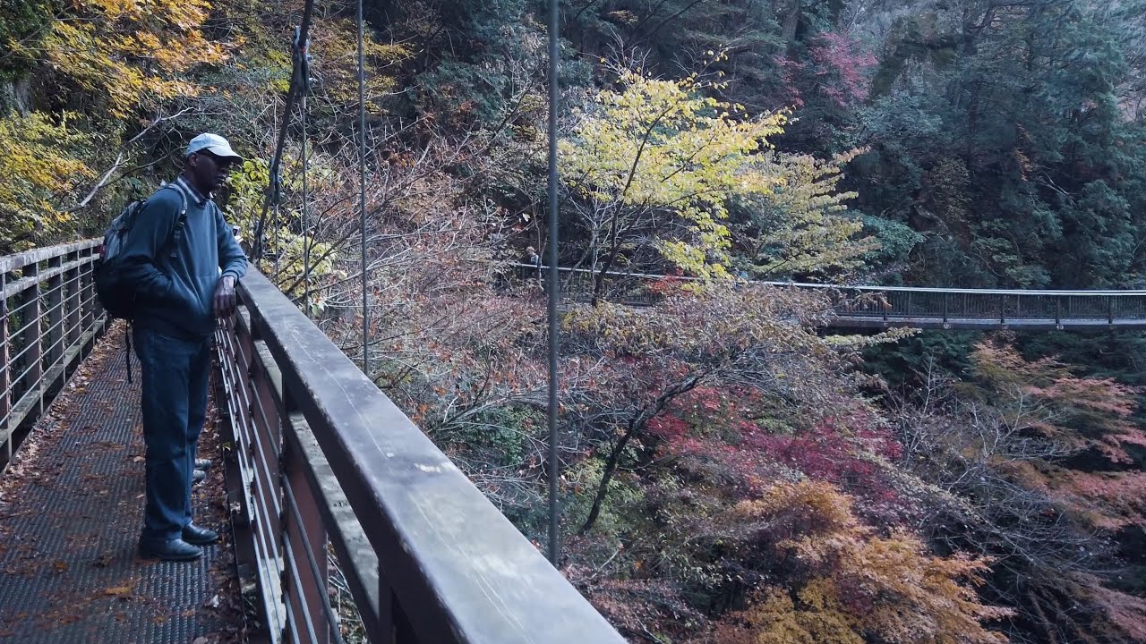 Hailstone Haiku Circle's 18th autumn "haike" (Mitarai Gorge, Dorogawa ...