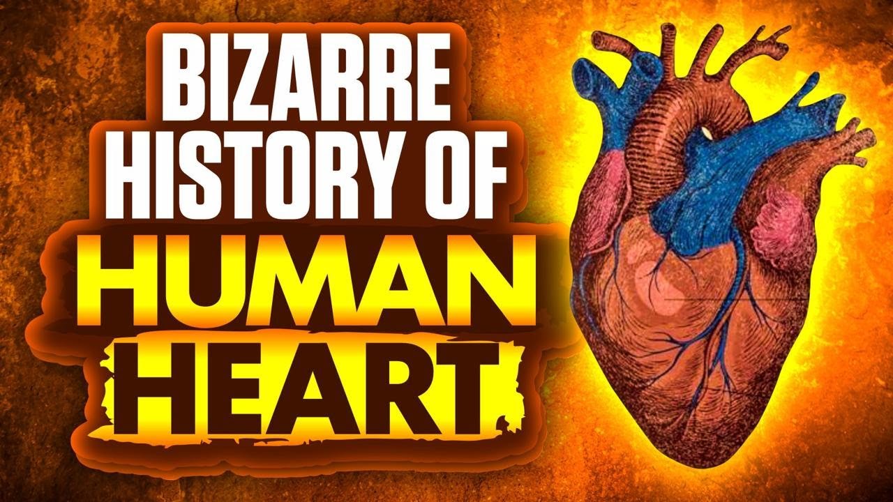 The Strange And Surprising History Of The Human Heart - YouTube