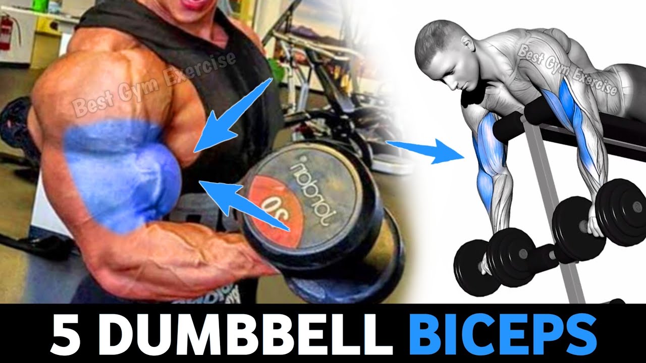 5 Dumbbell Bicep Workout - Biceps Workout - YouTube