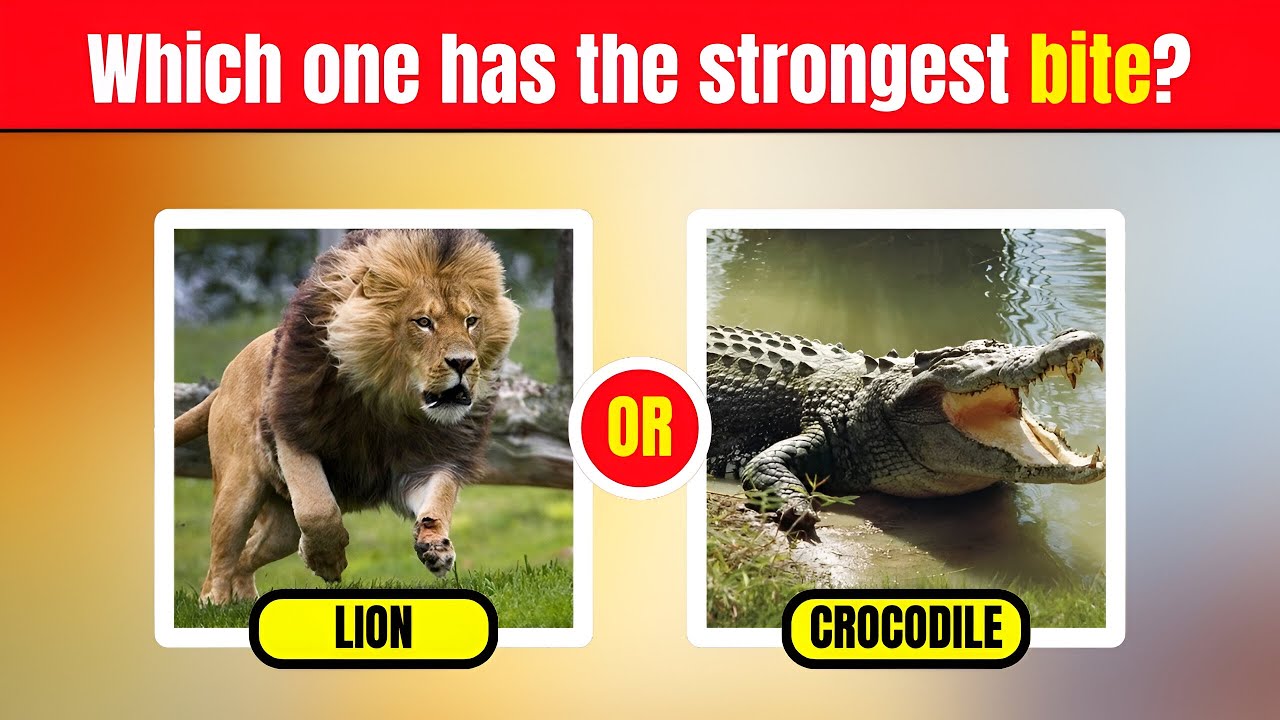 Guess the Animal Quiz! 🦓🦒 | Ultimate Animal Knowledge Quiz! 🧠🐾 | Animal ...