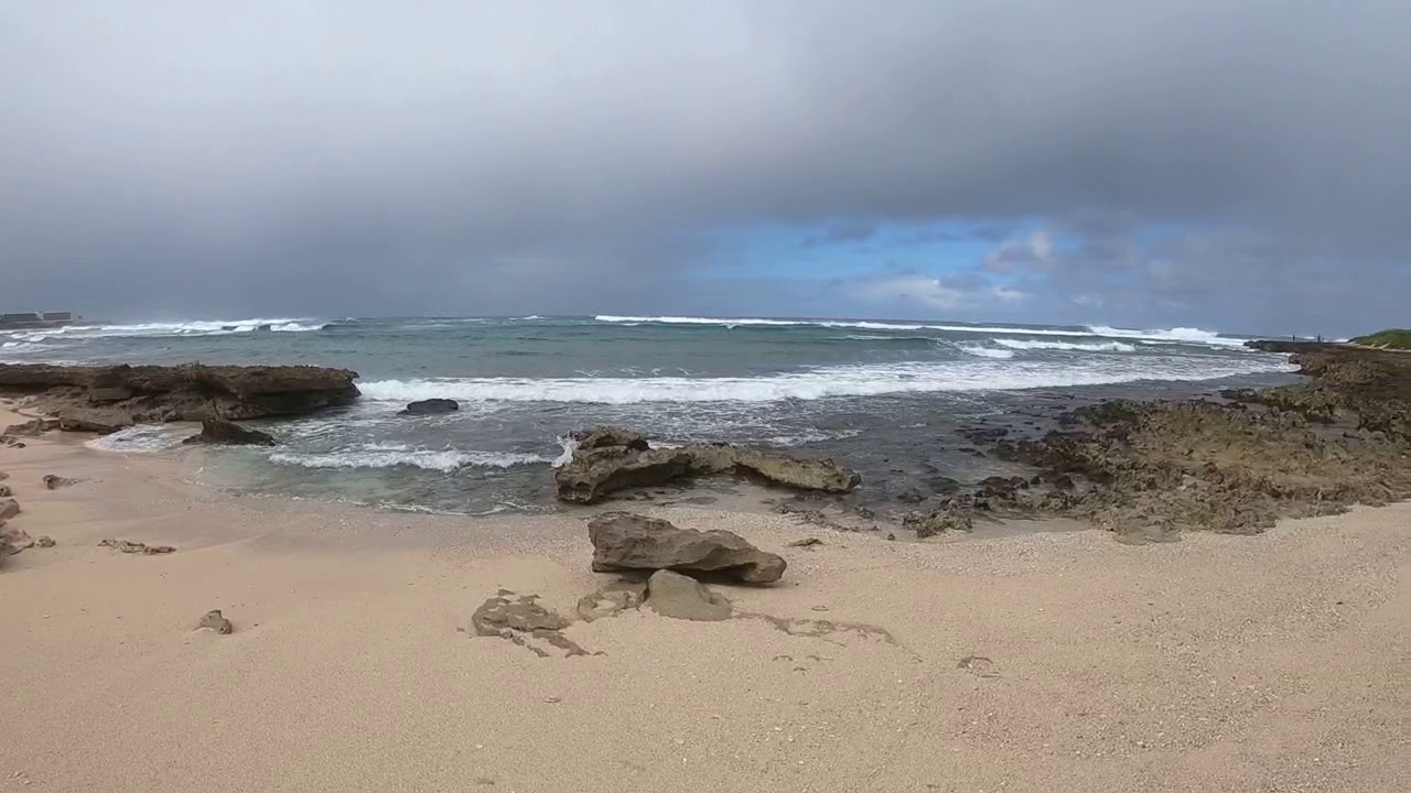 Turtle Bay - YouTube