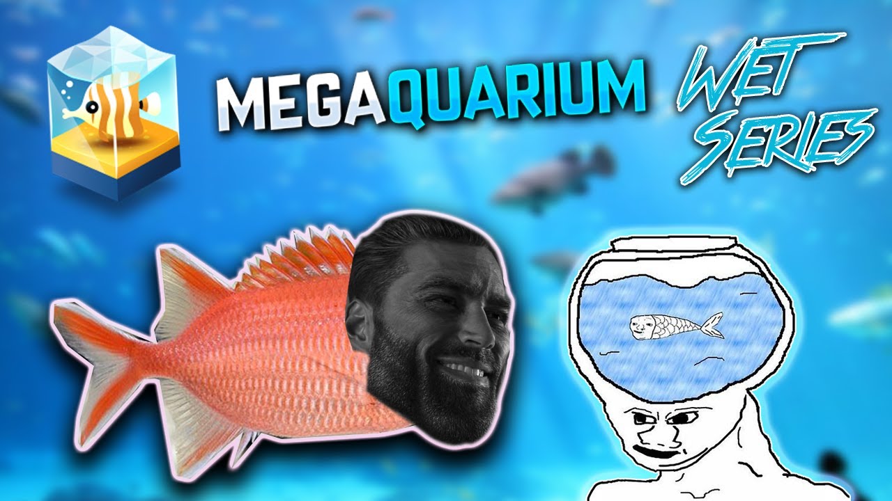 GIGA CHAD FISH | The Wet Series (Ep. 1) - YouTube