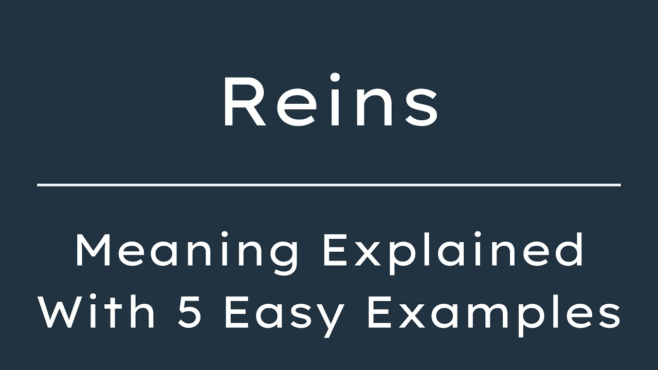 What Does Reins Mean? Reins Meaning in English With 5 Example Sentences ...