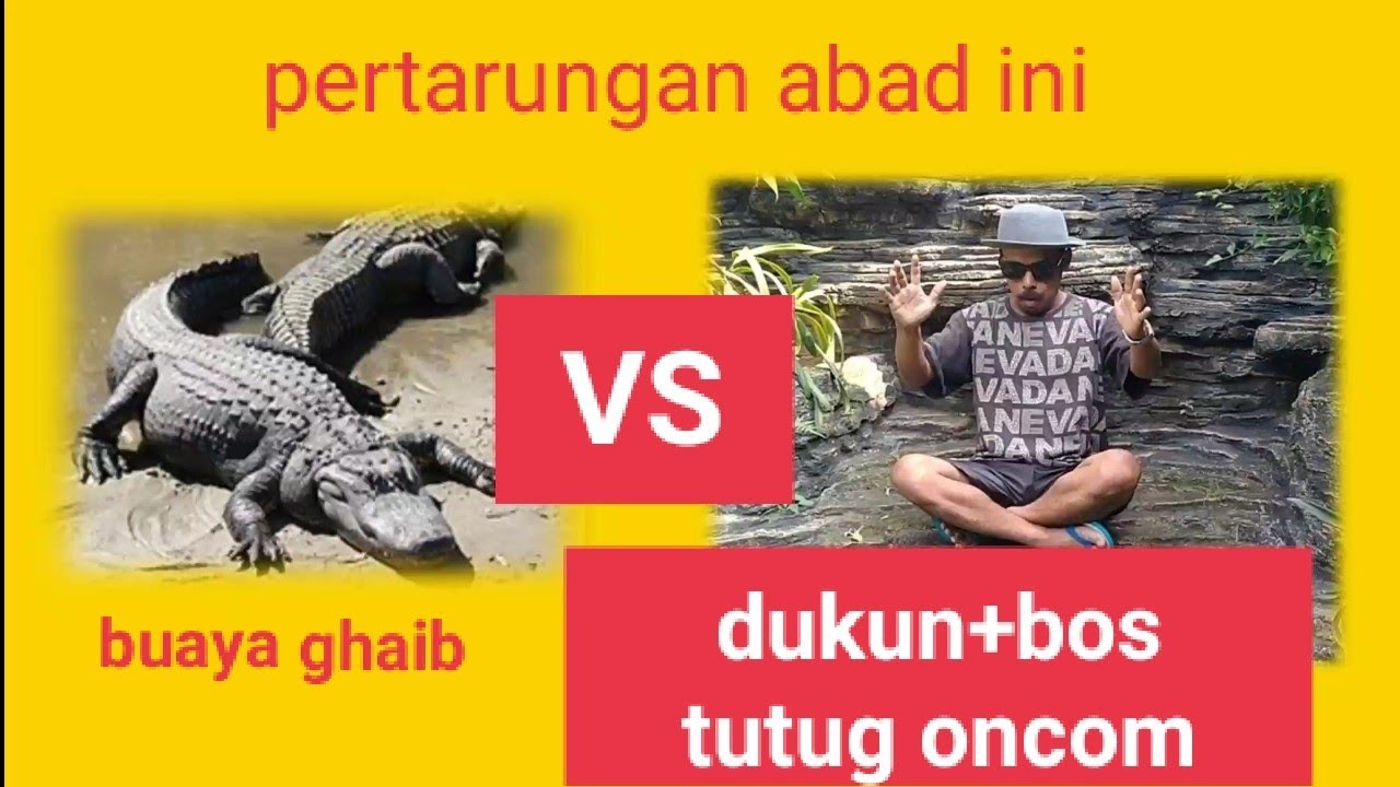 Buaya ghaib di rujak sama koko robert - YouTube