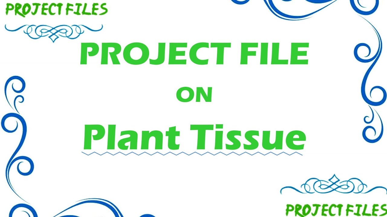 Project File on Plant Tissue (Science) - YouTube
