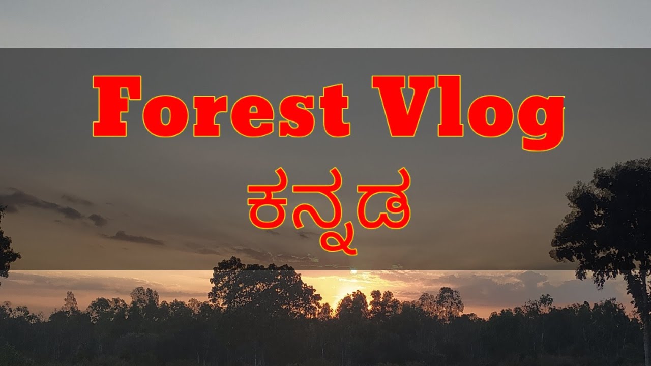 Forest Vlog In Kannada - YouTube