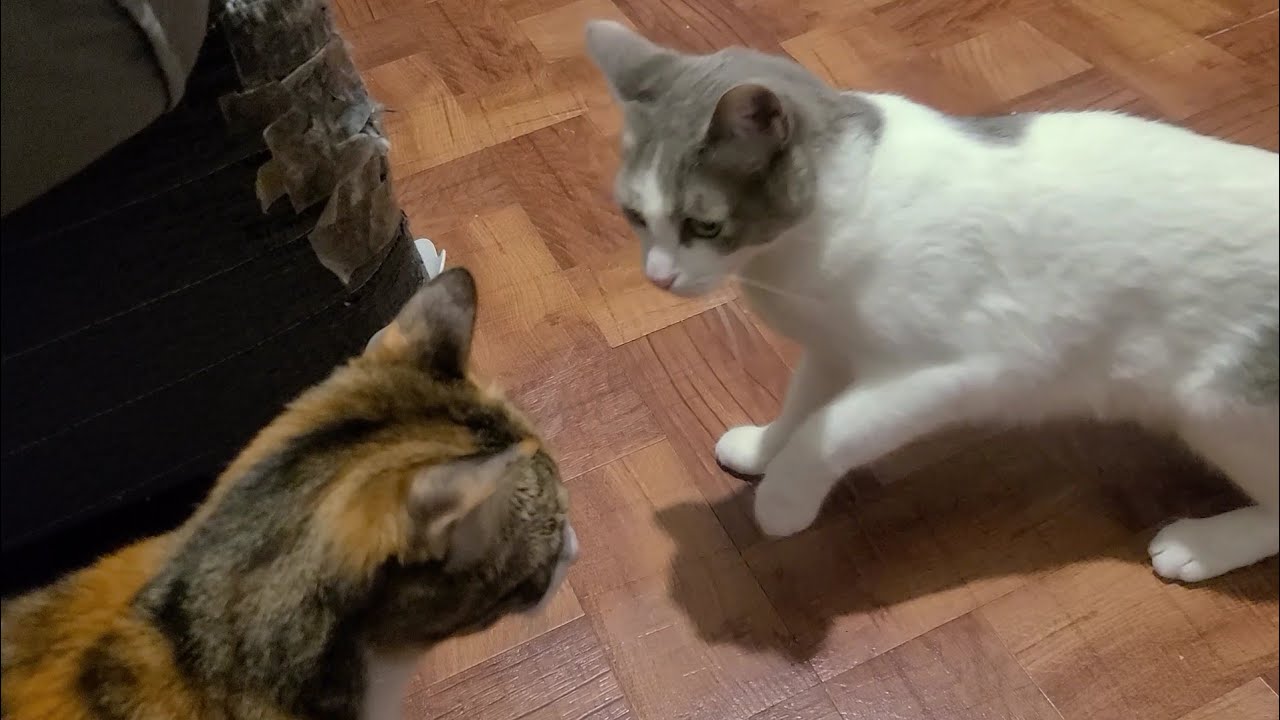 I'll hit you nevermind - YouTube